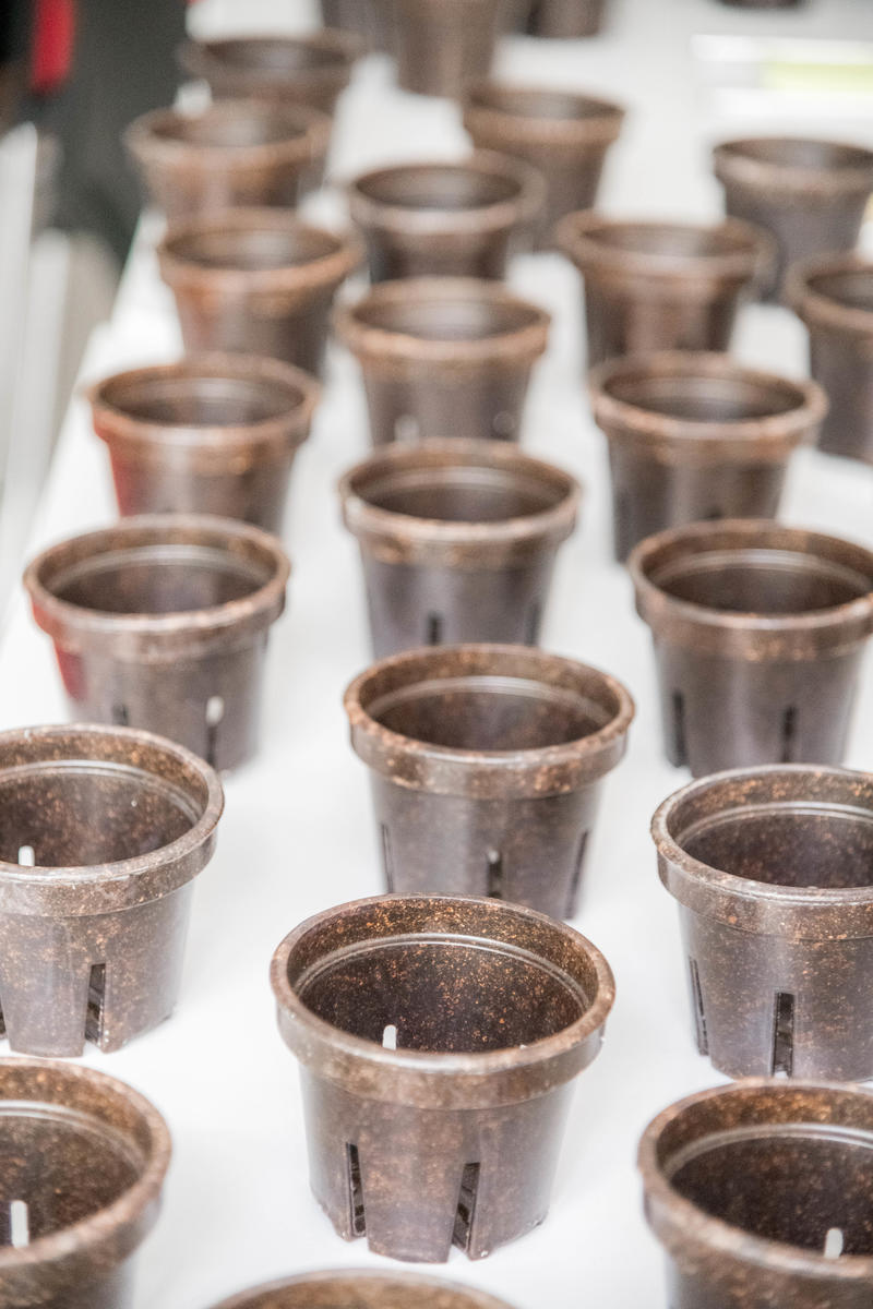 Un pot biodégradable et éco-responsable | Sede BENELUX